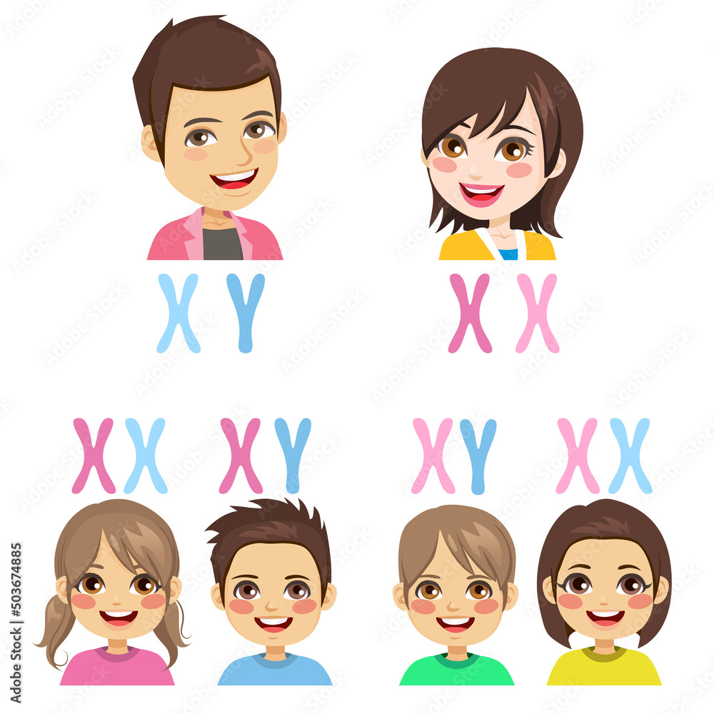 Infographic of cartoon characters family genetic inheritance. Sex Determination in Humans vector ...