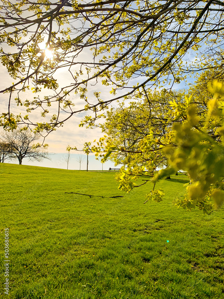 Daytime park scene Stock Photo | Adobe Stock