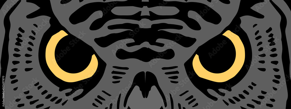 Owl head with predatory eyes. Realistic wild bird portrait. Front view ...