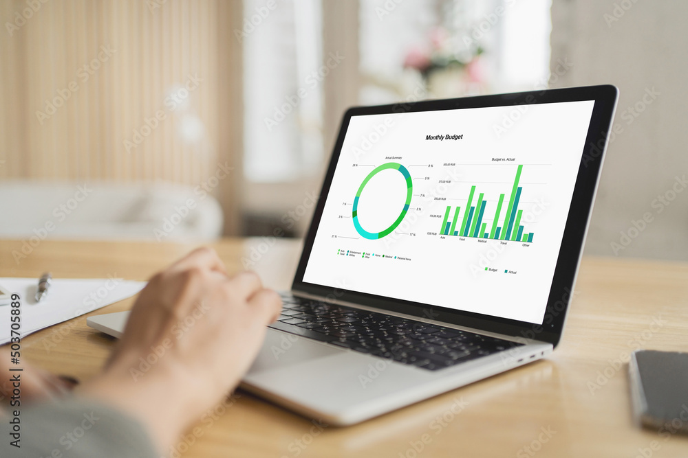 Laptop screen report budget charts and statistics finance, report in ...