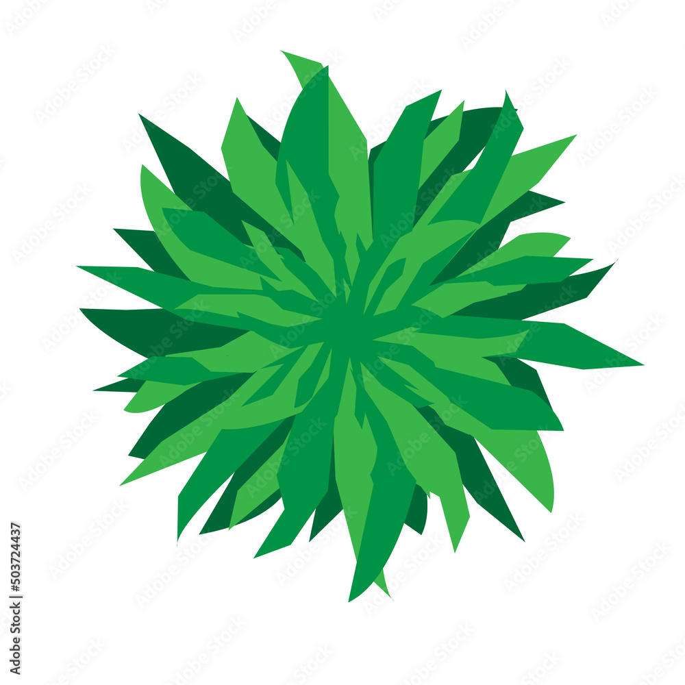 Top view palm leaves tree isolated on white background. Vector ...