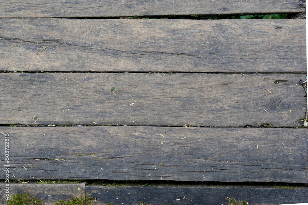 Wood texture from southern forests Stock Photo | Adobe Stock