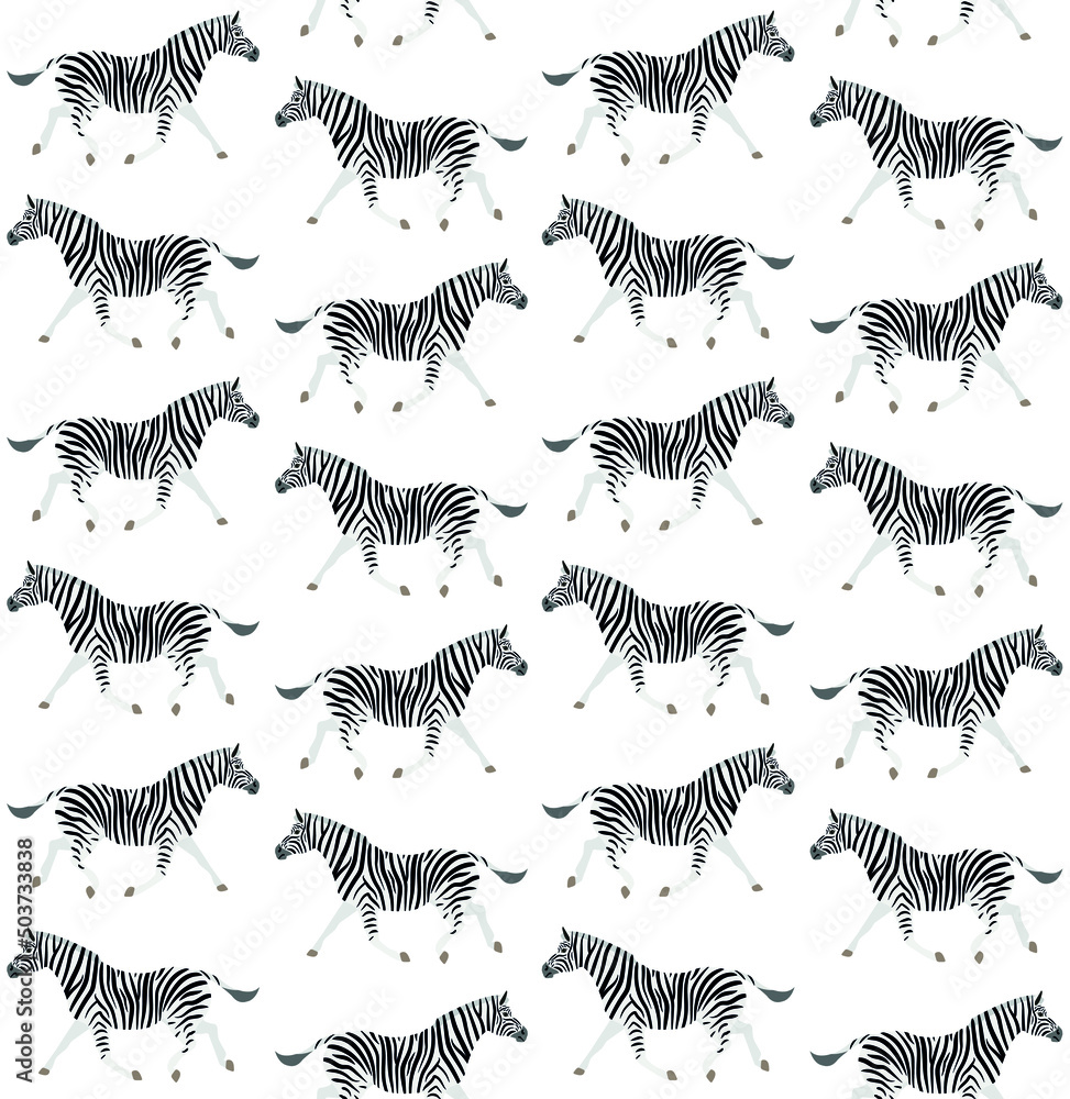 Vector seamless pattern of flat zebra isolated on white background ...
