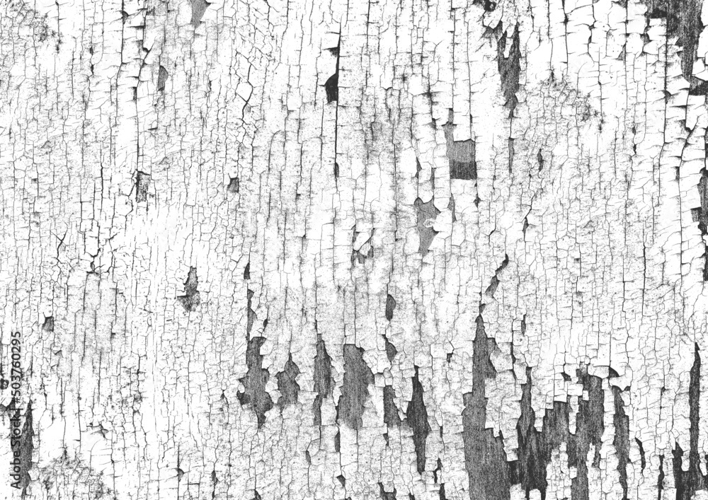 wood grain texture with a transparent background Stock Photo | Adobe Stock