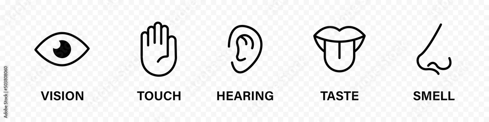 Naklejka Human sense icons. Five human senses icons. Vision smell ...