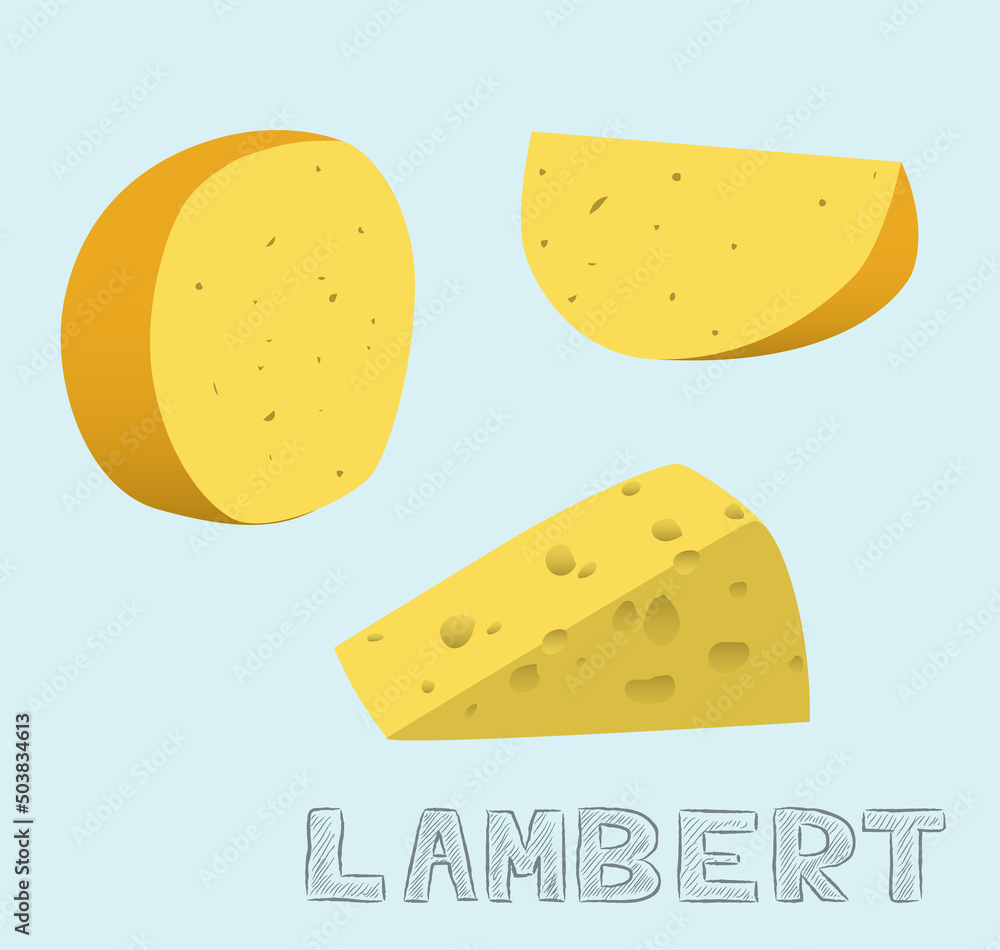 Food Cheese Type Lambert Vector Illustration Stock Vector | Adobe Stock