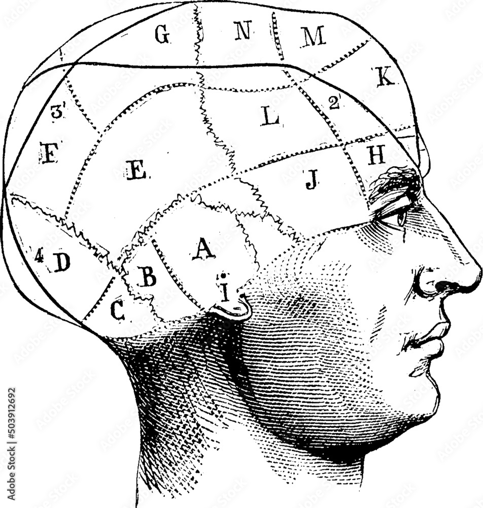 vintage head profile with a transparent background Stock Illustration ...