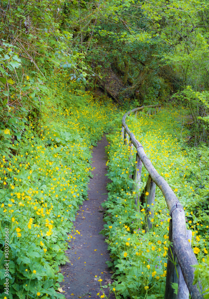 Mazzano Romano (Rome, Italy) - Waterfalls of Monte Gelato in the ...
