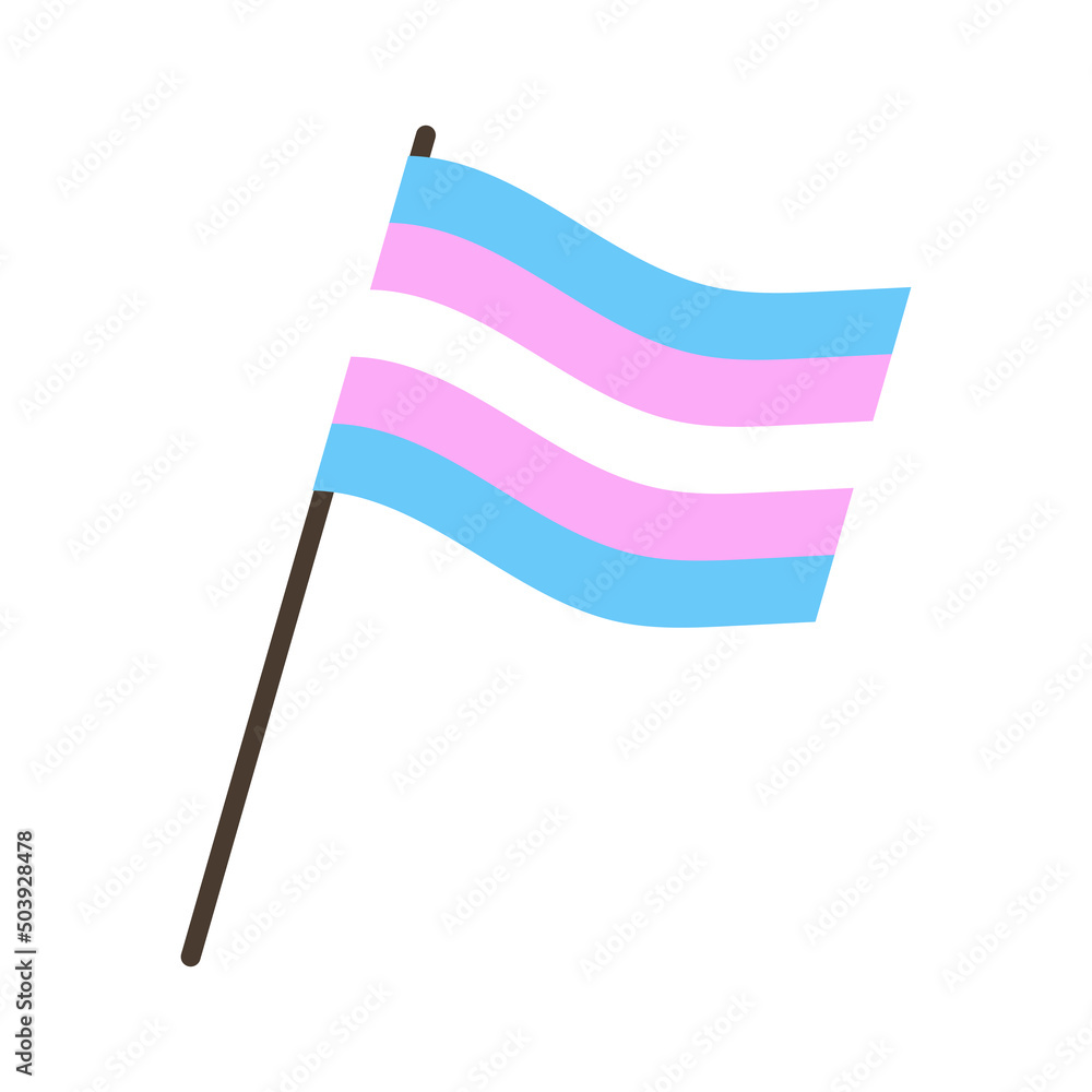 Vector transgender flag. LGBTQ Plus transgender flag. Stock Vector ...