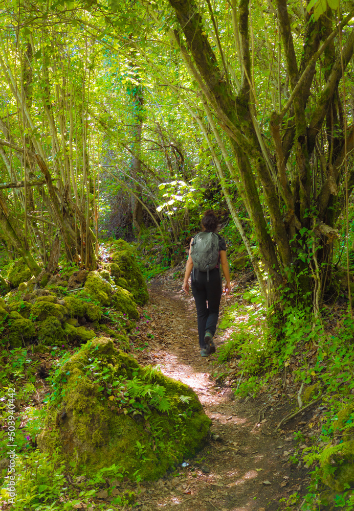 Mazzano Romano (Rome, Italy) - Waterfalls of Monte Gelato in the ...
