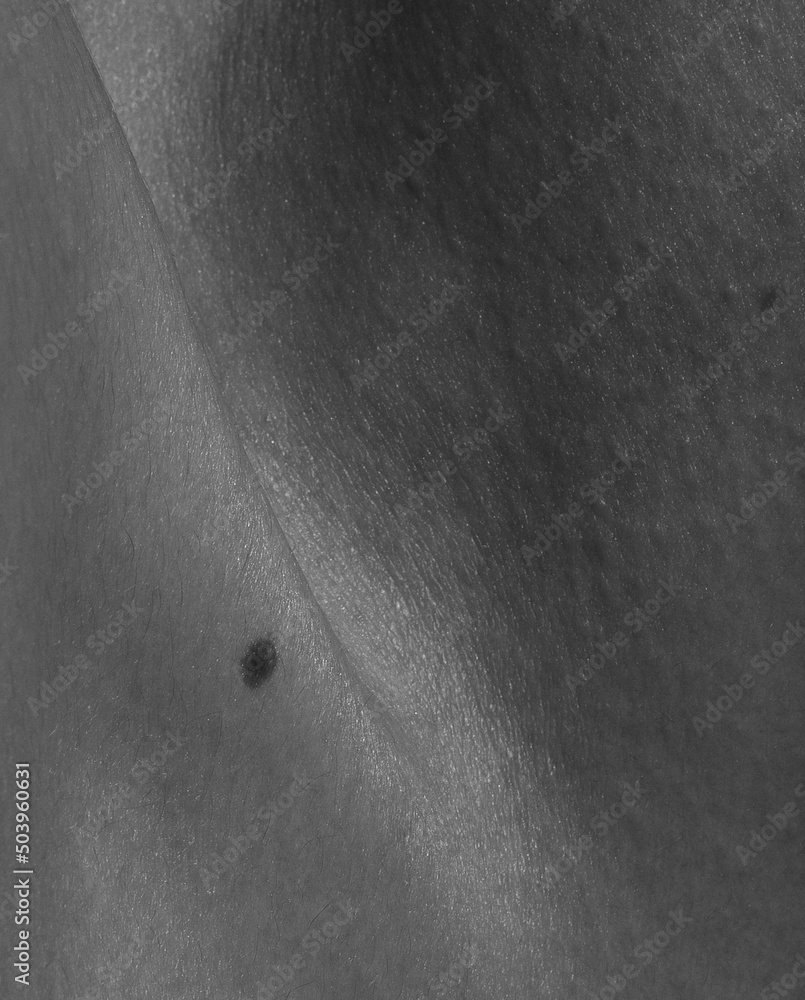 Collarbone. Detailed texture of female skin. Close up part of woman's ...