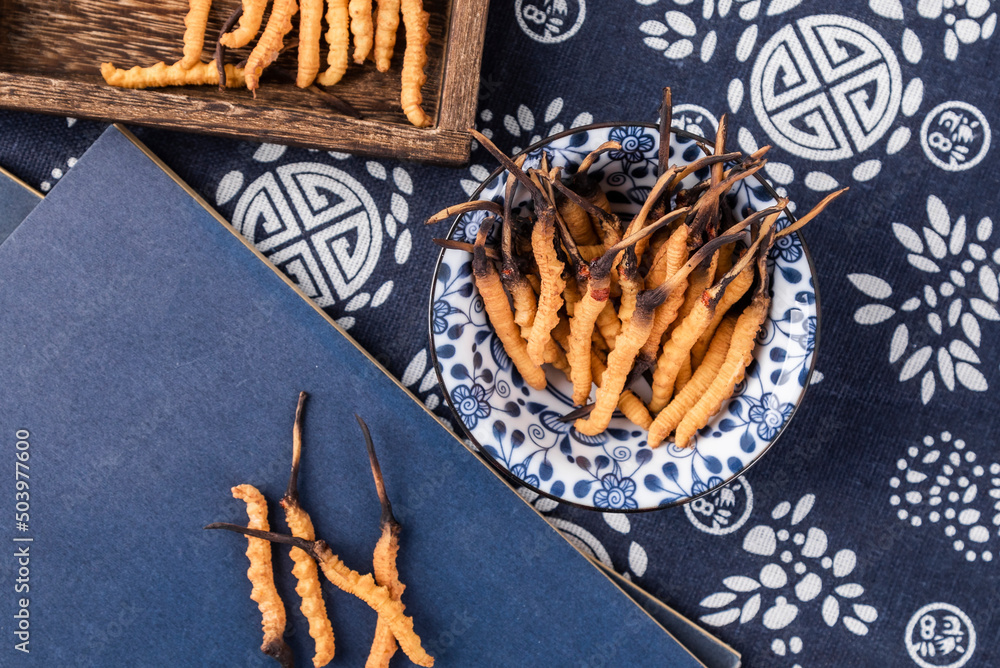 Photography of cordyceps sinensis, a nourishing Chinese herb Stock ...