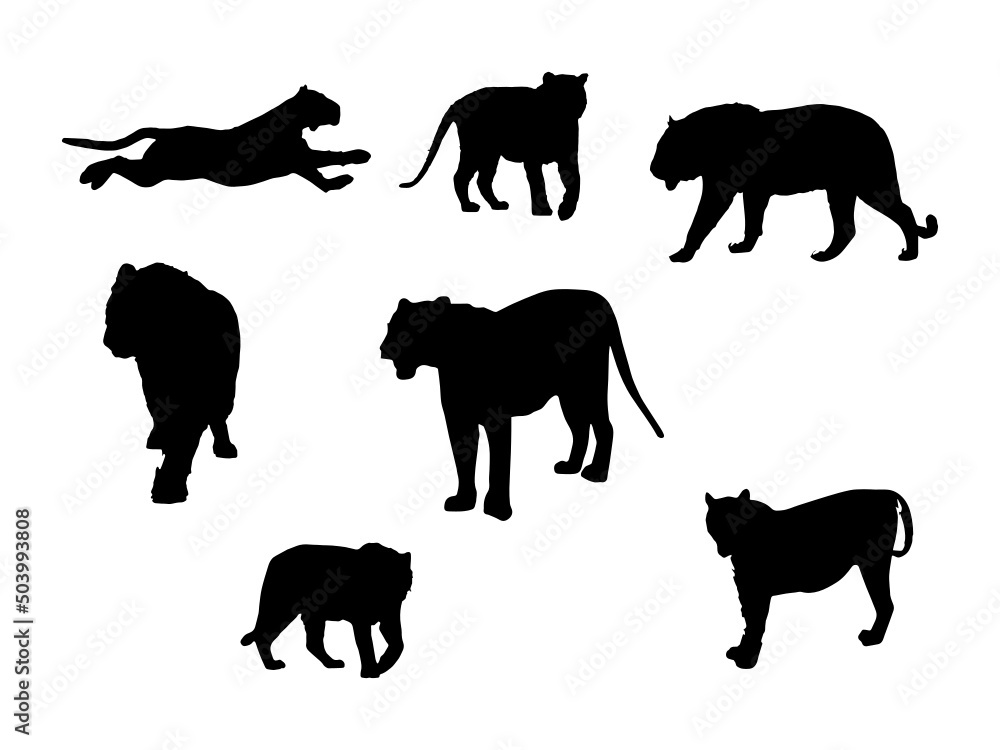Asian bengal tiger, vector illustration.Walking vector image.Leaping ...
