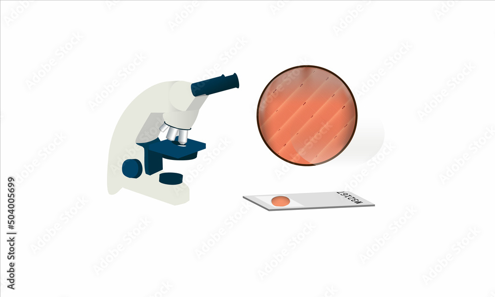 microscope, histological slide and muscle tissue under microscope ...