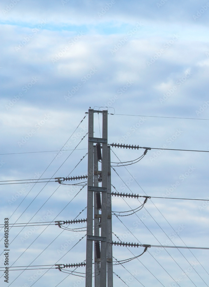 Medium voltage pylon with ceramic insulated wires to protect against ...