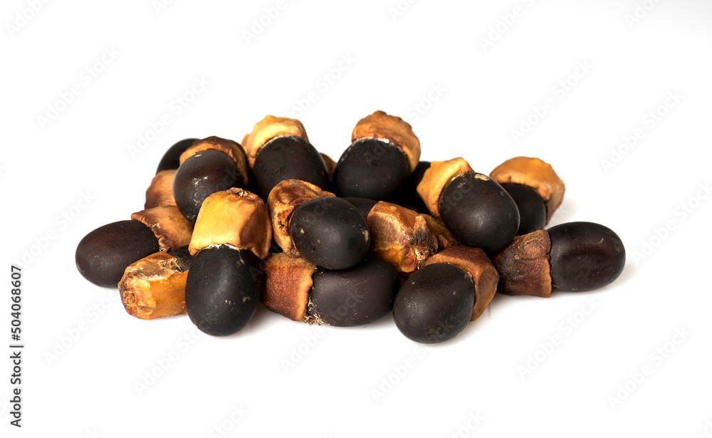 Close up pod, seed, of Afzelia, Doussie or Makha mong tree tropical ...