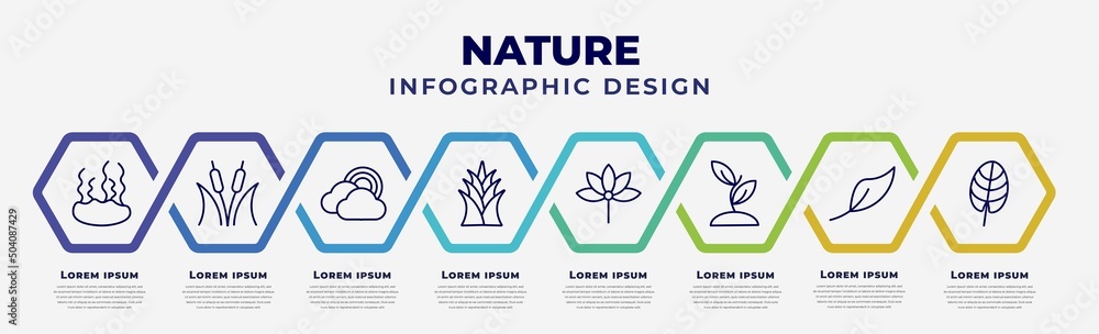 vector infographic design template with icons and 8 options or steps ...