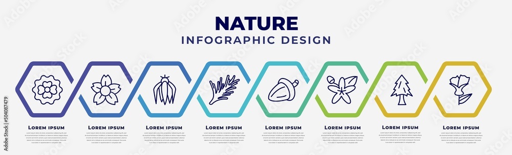 vector infographic design template with icons and 8 options or steps ...