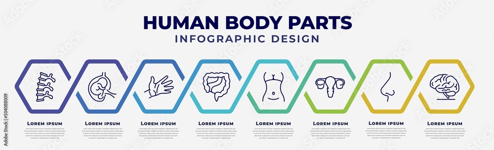 vector infographic design template with icons and 8 options or steps ...