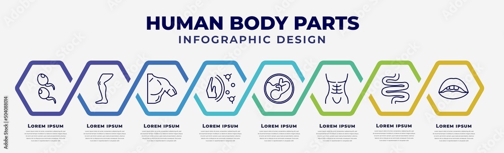 vector infographic design template with icons and 8 options or steps ...