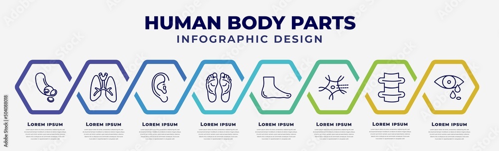 vector infographic design template with icons and 8 options or steps ...