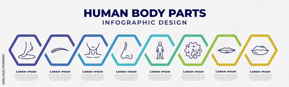 vector infographic design template with icons and 8 options or steps ...