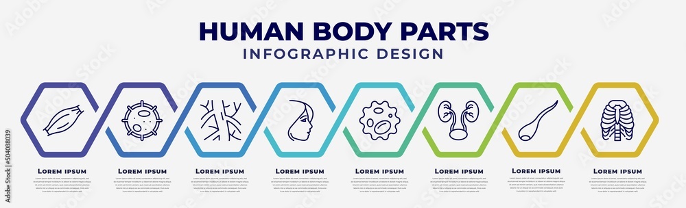 Vetor de vector infographic design template with icons and 8 options or ...