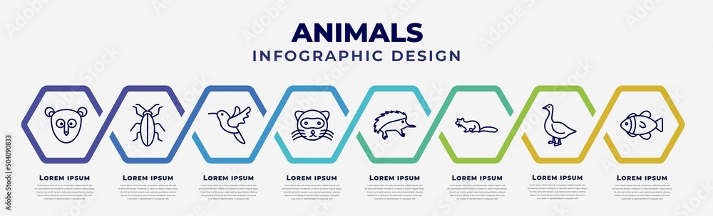 vector infographic design template with icons and 8 options or steps ...