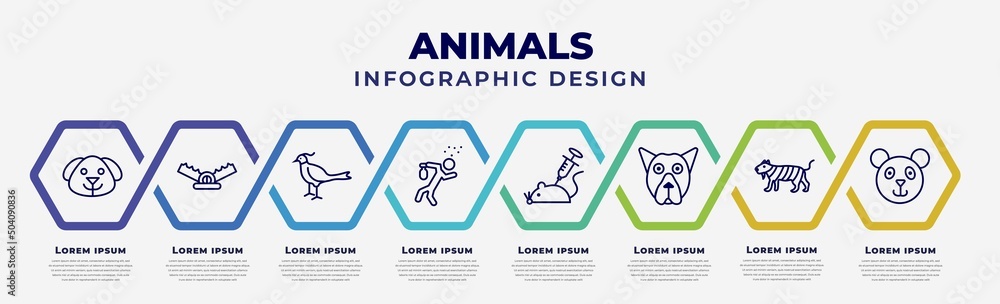 vector infographic design template with icons and 8 options or steps ...