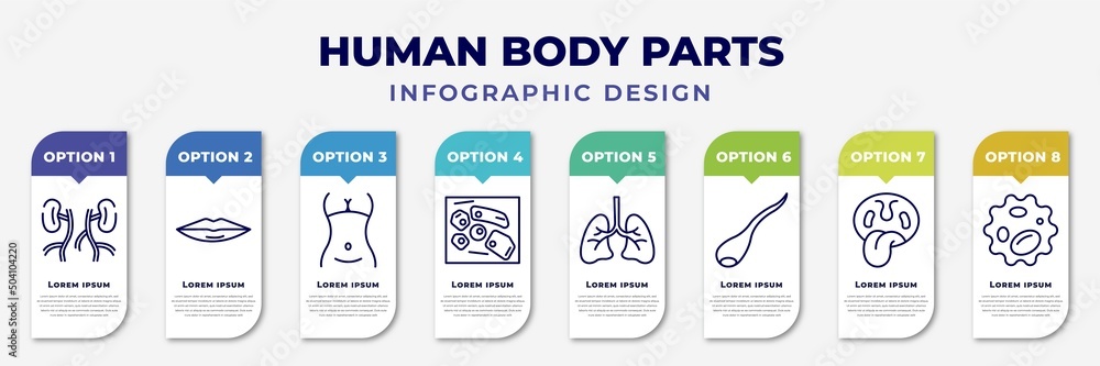 infographic template with icons and 8 options or steps. infographic for ...