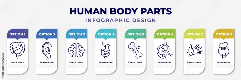 infographic template with icons and 8 options or steps. infographic for ...