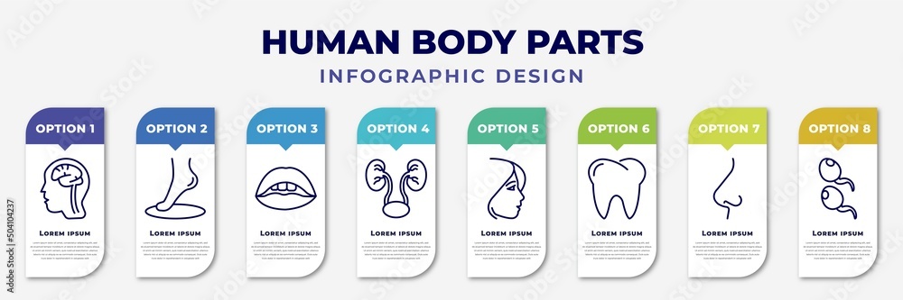 infographic template with icons and 8 options or steps. infographic for ...