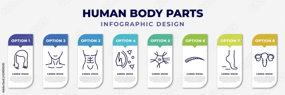 infographic template with icons and 8 options or steps. infographic for ...