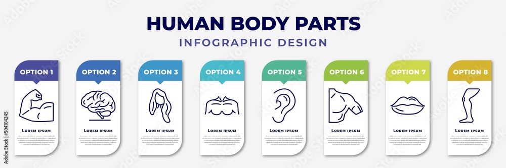 infographic template with icons and 8 options or steps. infographic for ...