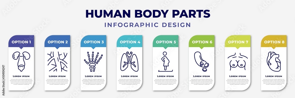 infographic template with icons and 8 options or steps. infographic for ...