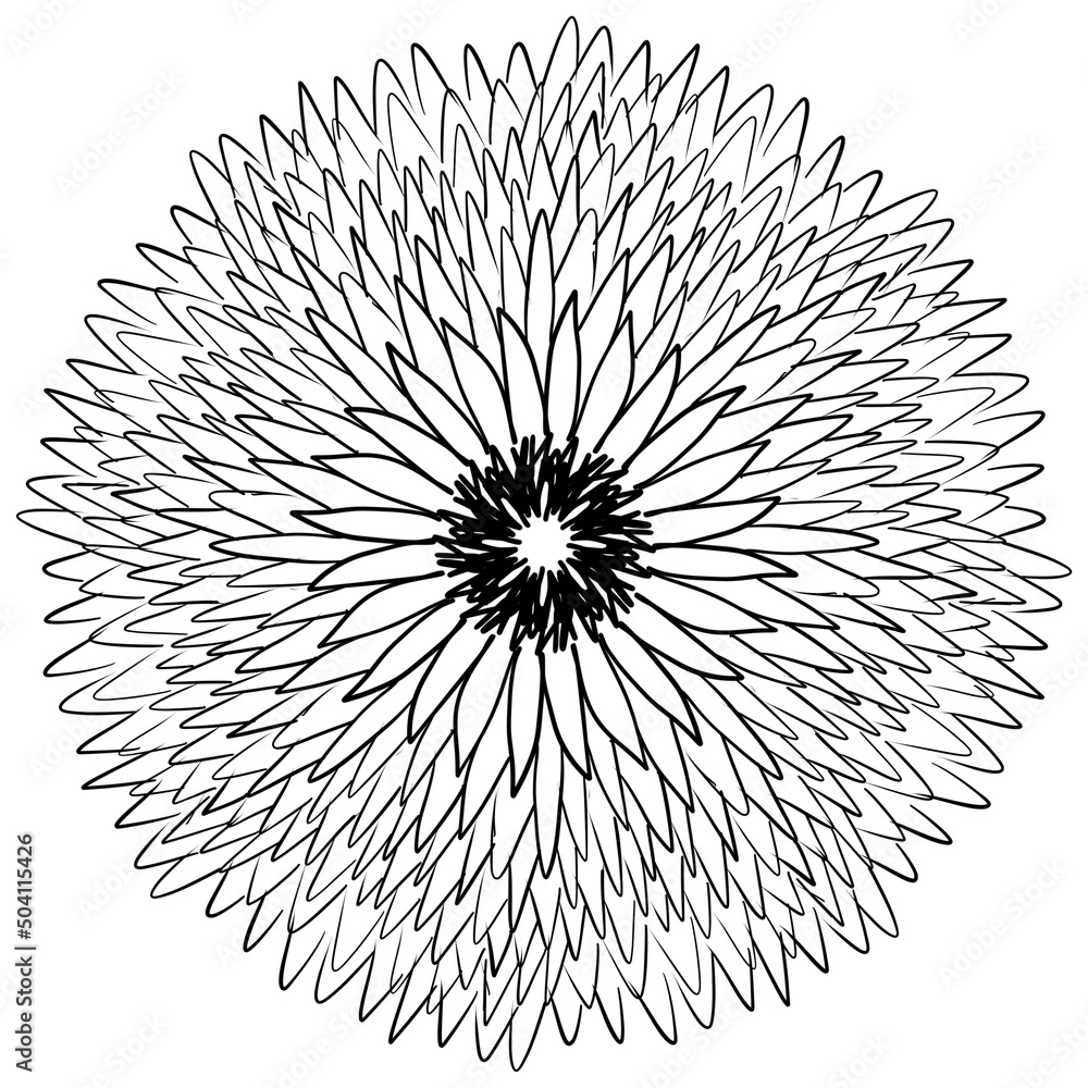 Hand Drawn Line Art Drawing of Flower.Sketch line drawing flower ...