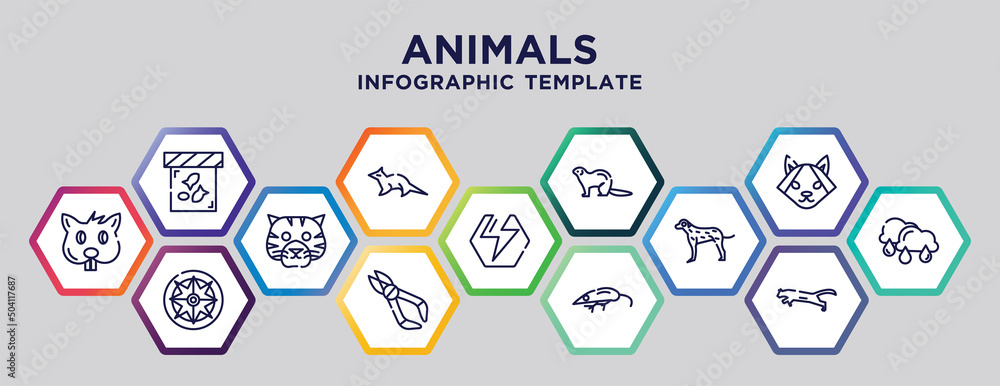 hexagon infographic template design. infographic elements from animals ...
