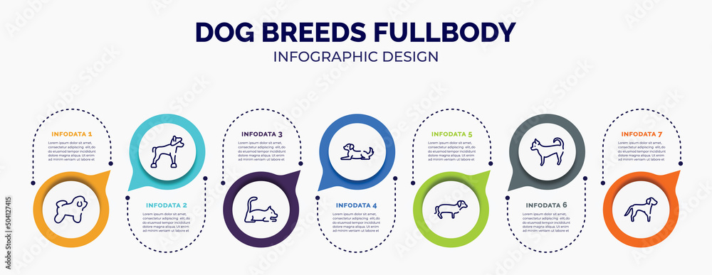 infographic for dog breeds fullbody concept. vector infographic ...