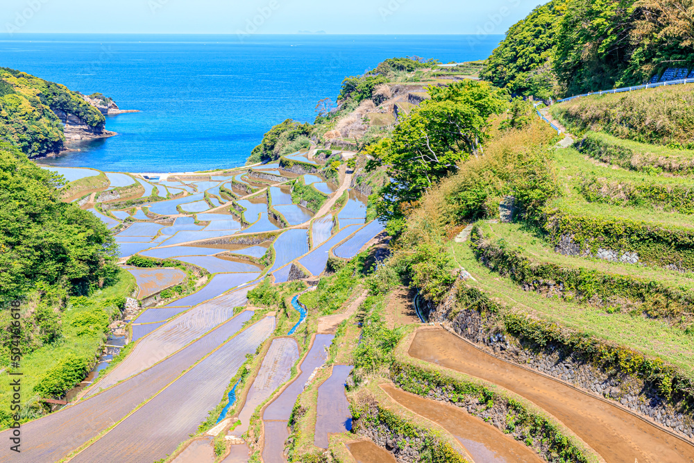 初夏の浜野浦の棚田 佐賀県松浦郡 Hamanoura Rice Terraces in early summer. Saga-ken ...