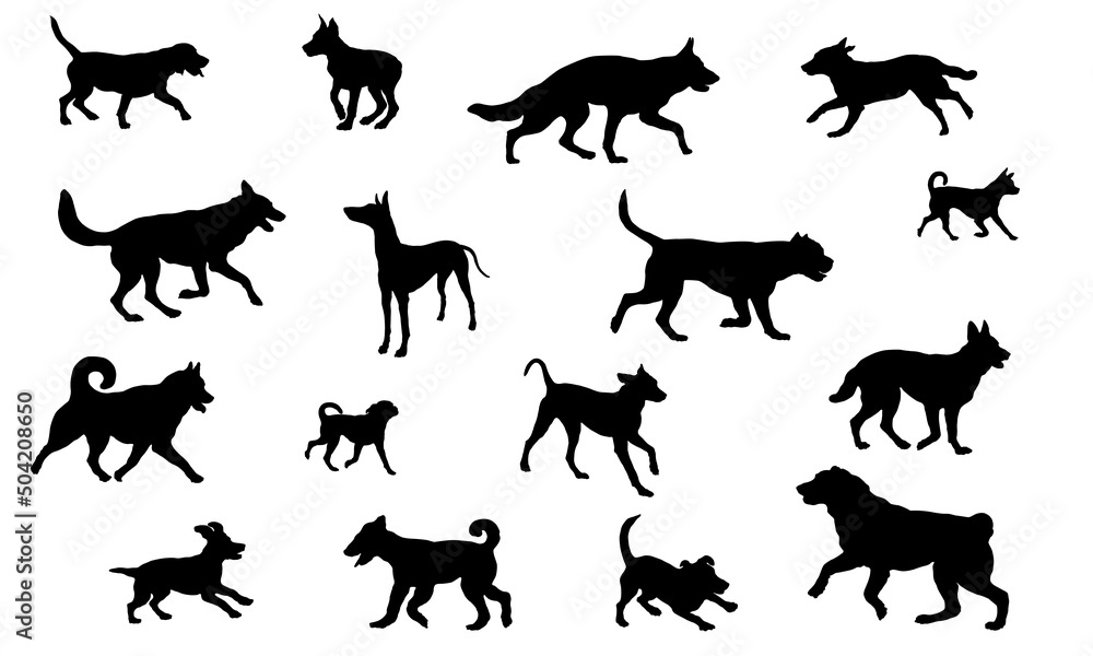 Group of dogs various breed. Black dog silhouette. Running, standing ...