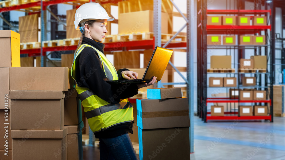 Warehouse revision. Female storekeeper stands with laptop. Manager is ...