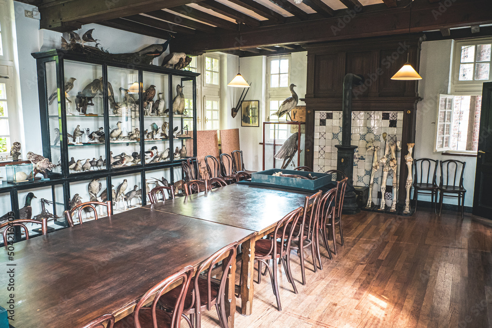 Interior view of a historic room full of stuffed animals and scientific ...