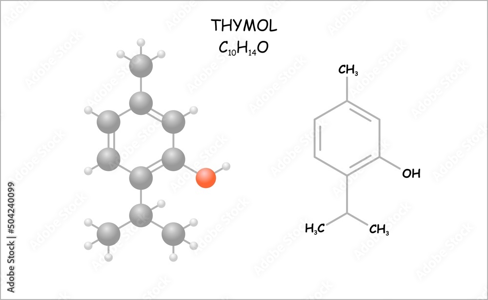 Stylized molecule model/structural formula of thymol. Use as aroma and ...