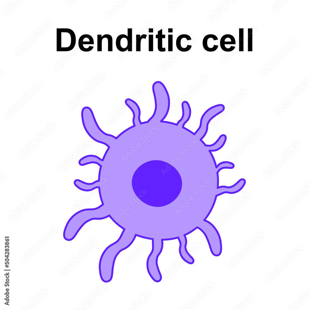 Scientific Designing of Dendritic Cell. The White Blood Cell Structure ...