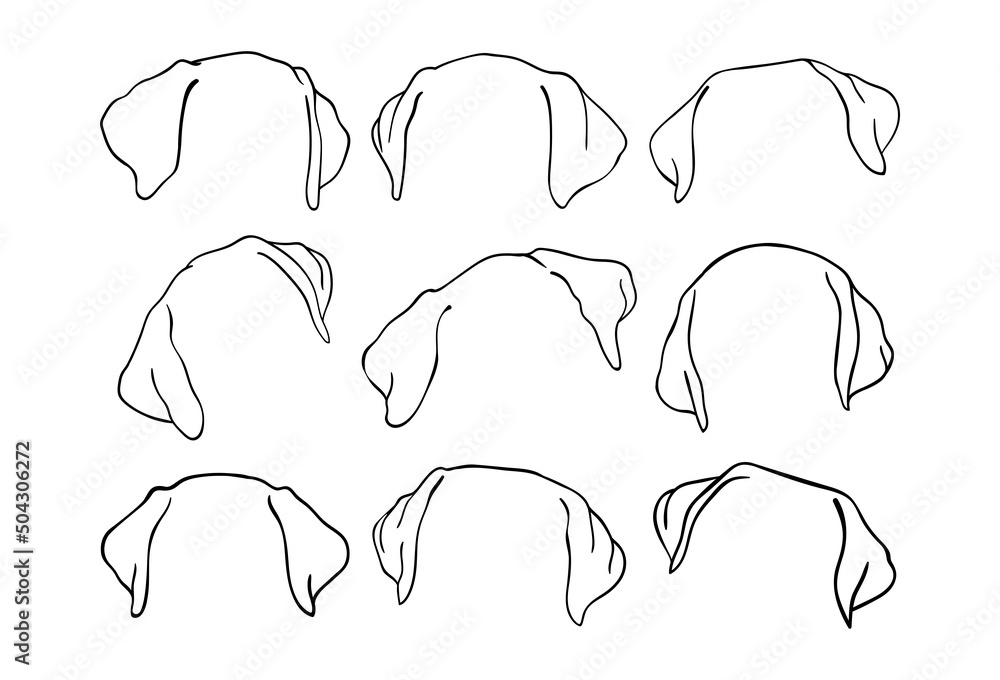 Labrador ears. Black and white outline illustration printable Stock ...