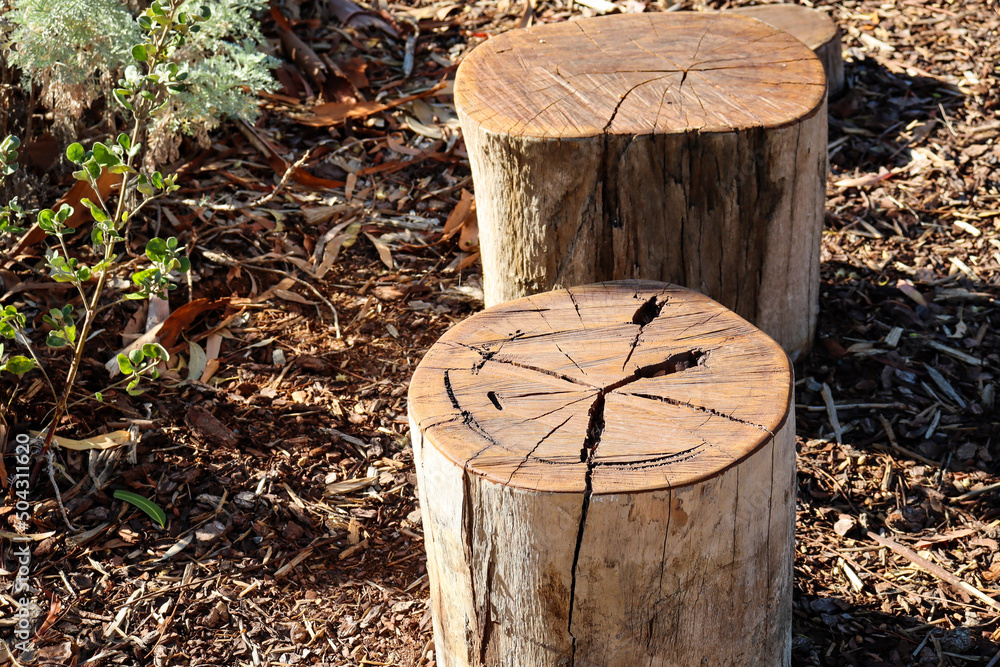 cut timber log stepping stones in landscaped gardens Stock Photo ...