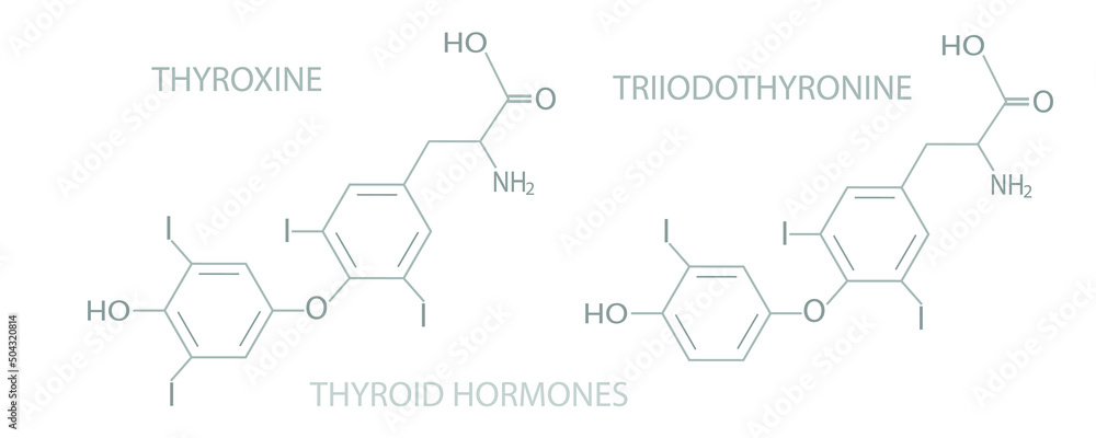 Thyroid horones molecular skeletal chemical formula. Stock Vector ...