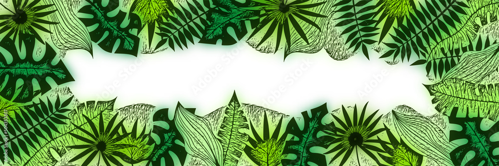 Vector banner, tropical leaves, floral frame Stock Vector | Adobe Stock