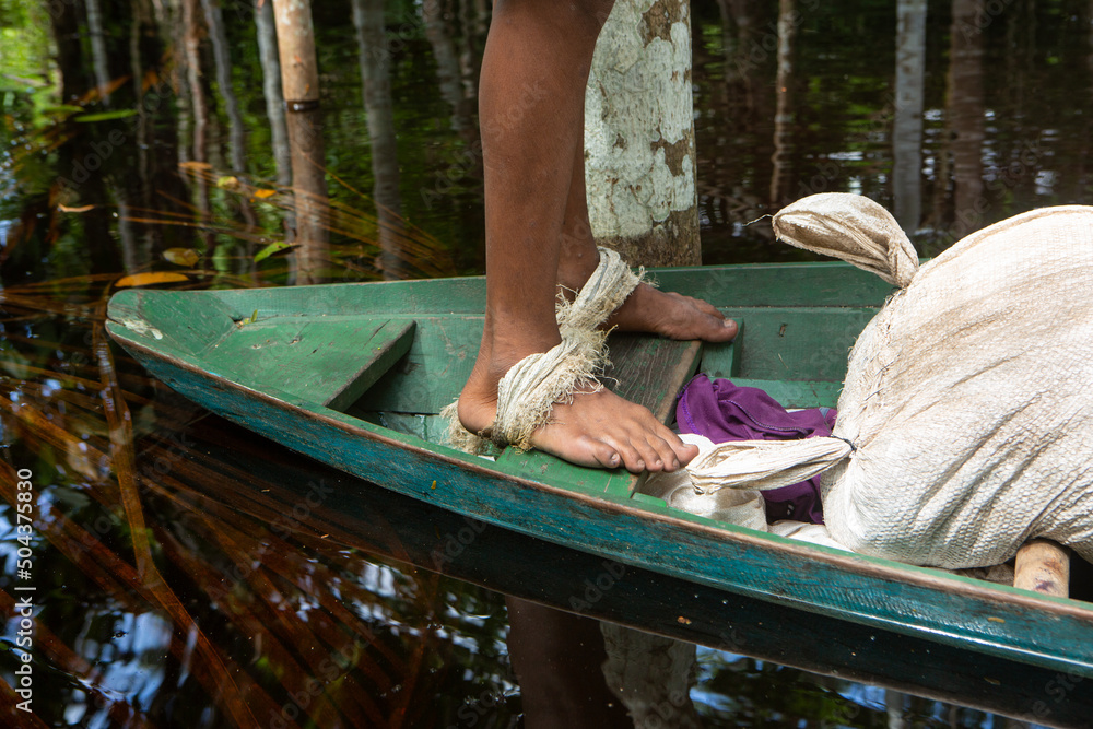 Closeup of rope tied to feet of man in boat to climb palm tree to ...