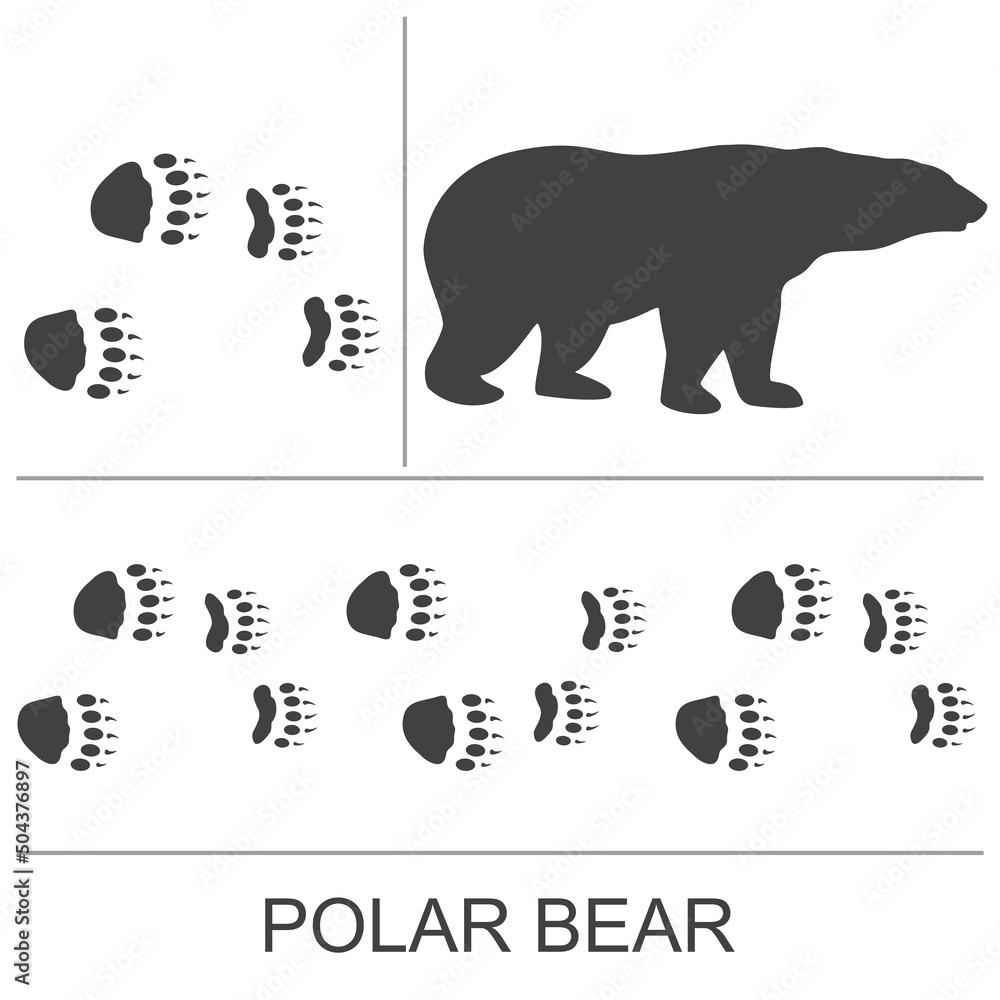 Polar Bear Paw Print In Snow